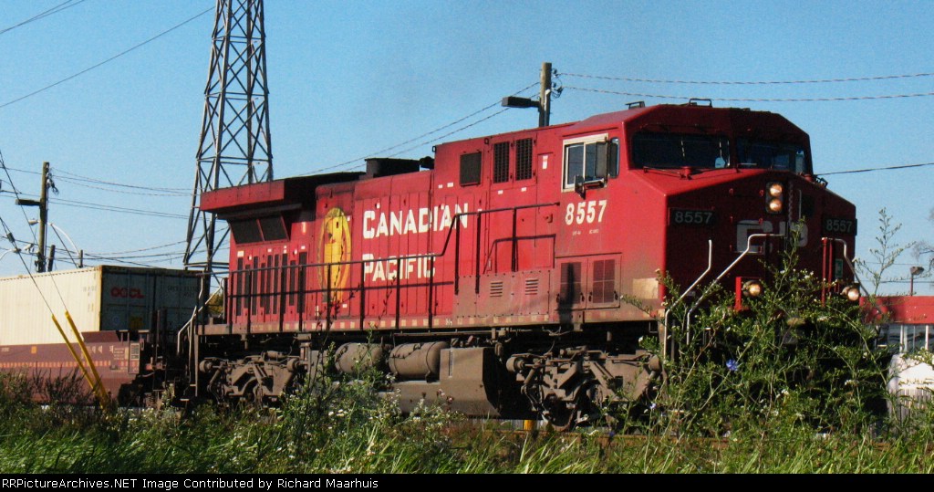 CP 8557